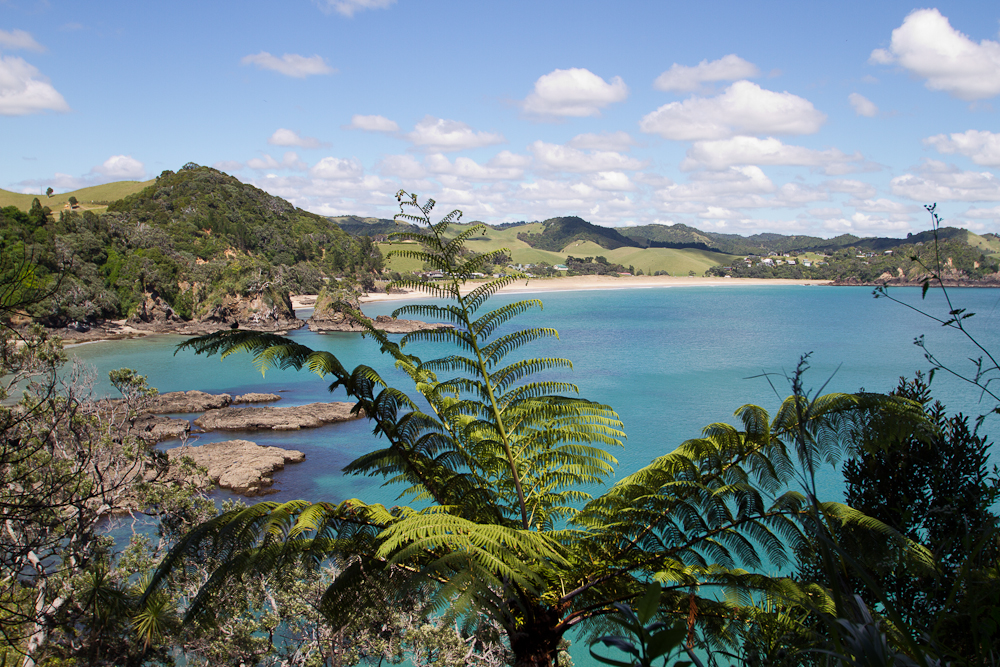Matapouri Bay to Ngunguru walk-0669 « Chaplog tries hard